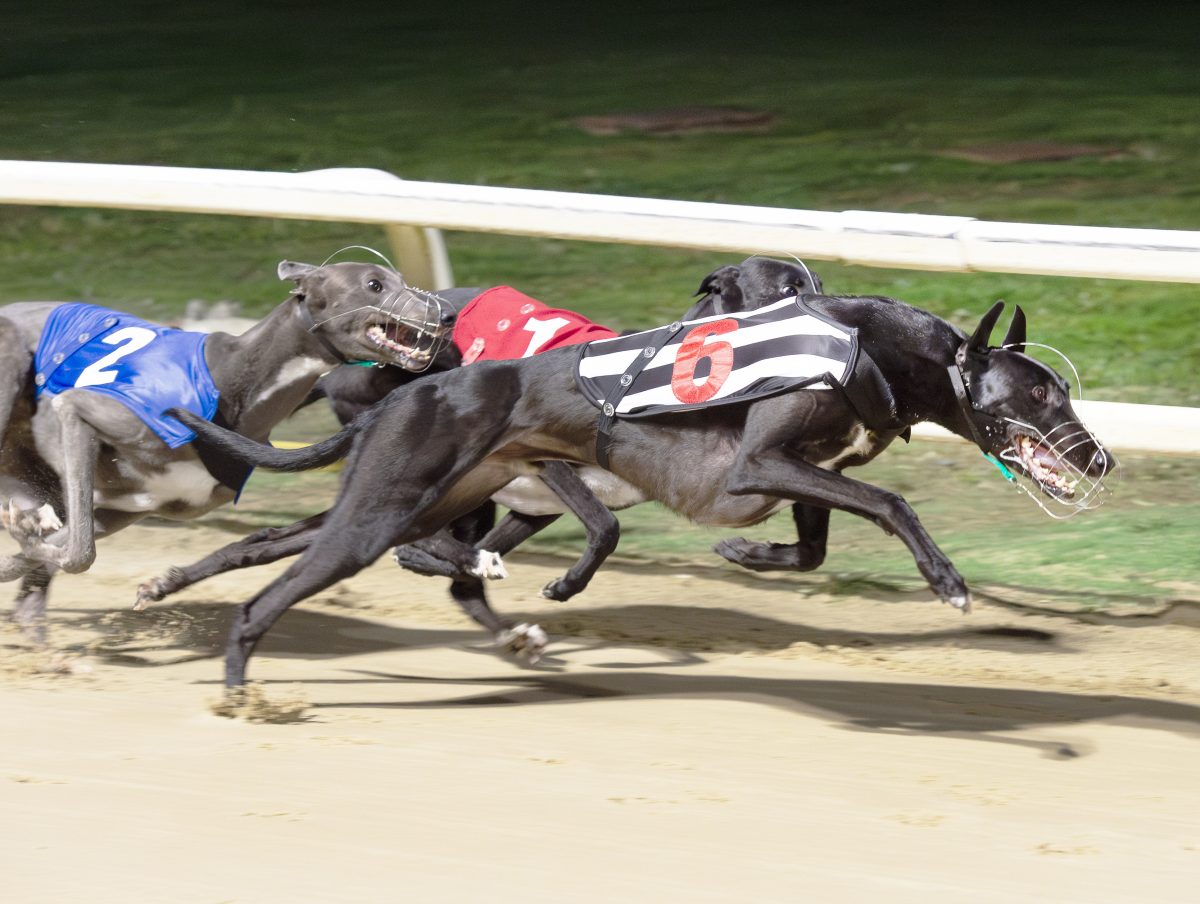 Val Tashadelek fastest of the night as Star Sports/TRC English ...